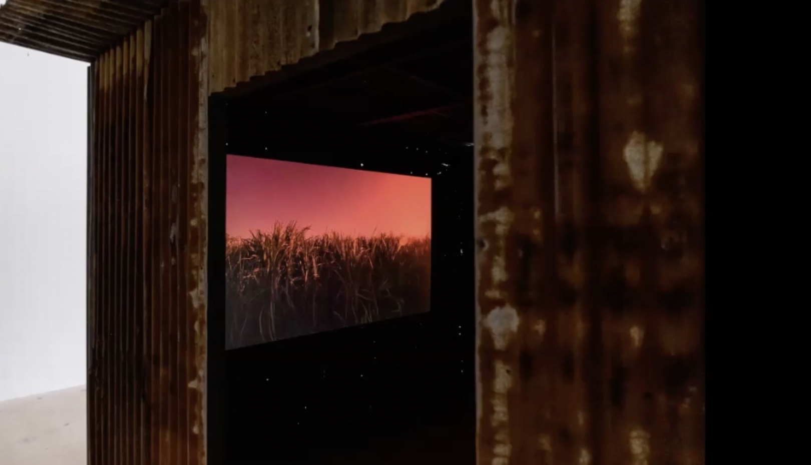 Global Plantation Series Artists Q&A (Transcript) - ICF | International ...