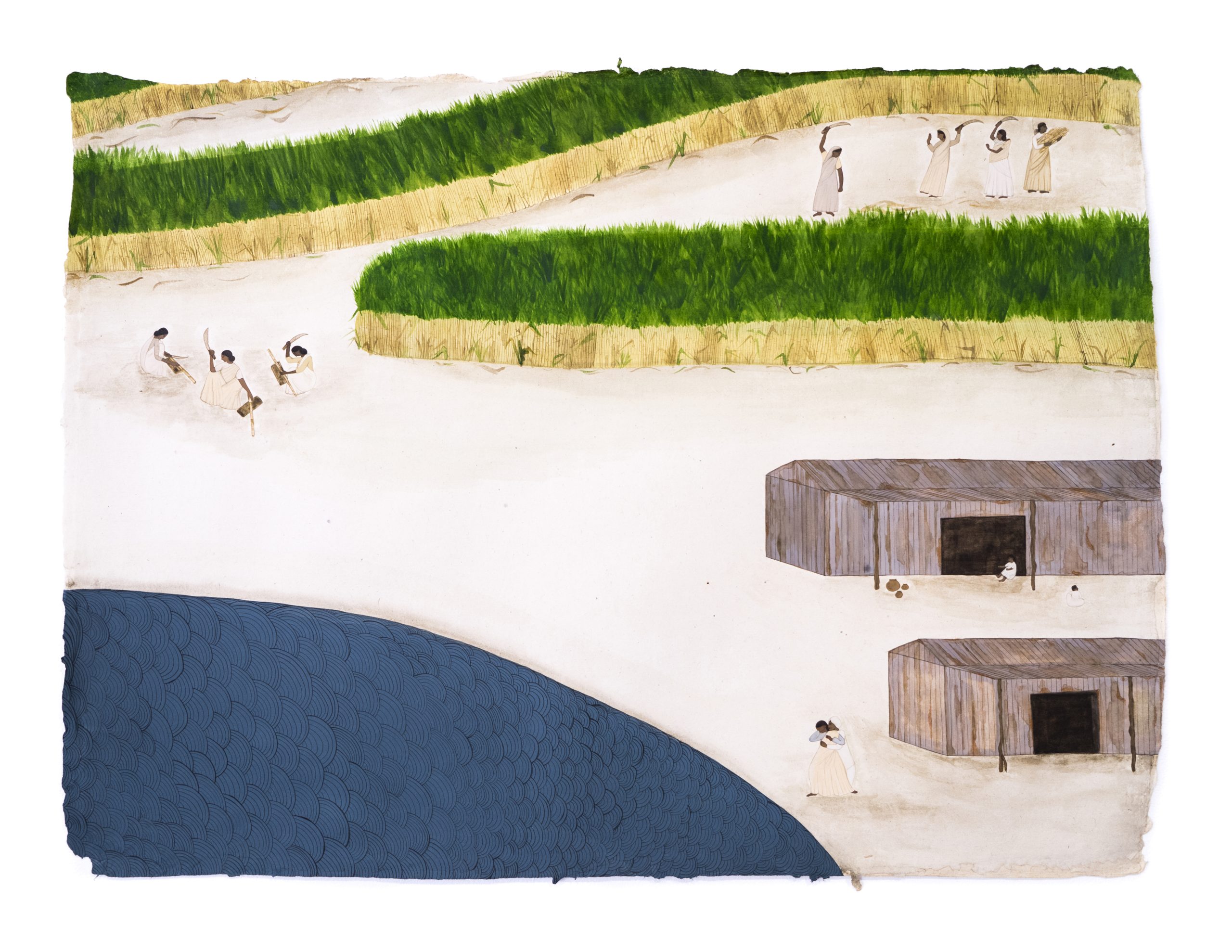 Global Plantation Series: Sites of Resistance, Sites of Care - A ...